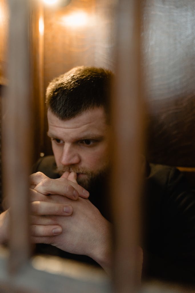 To Confess or Conceal: The Truth About Disclosing Your Felony ...